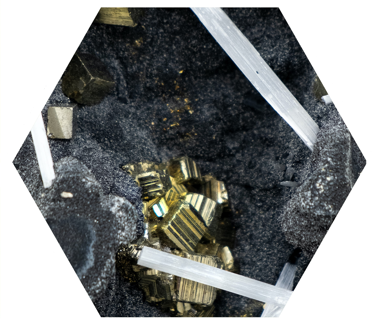 Cannabis Testing Standards - AccuStandard